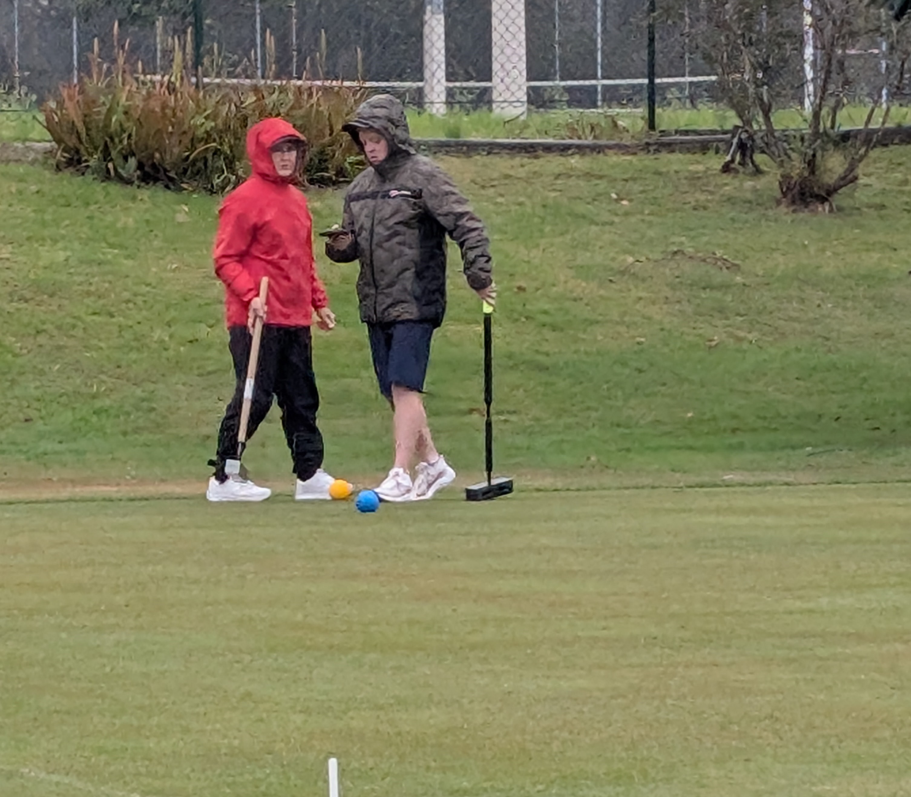 Australian Championships Golf Croquet Interstate Shield 2025 | Croquet ...